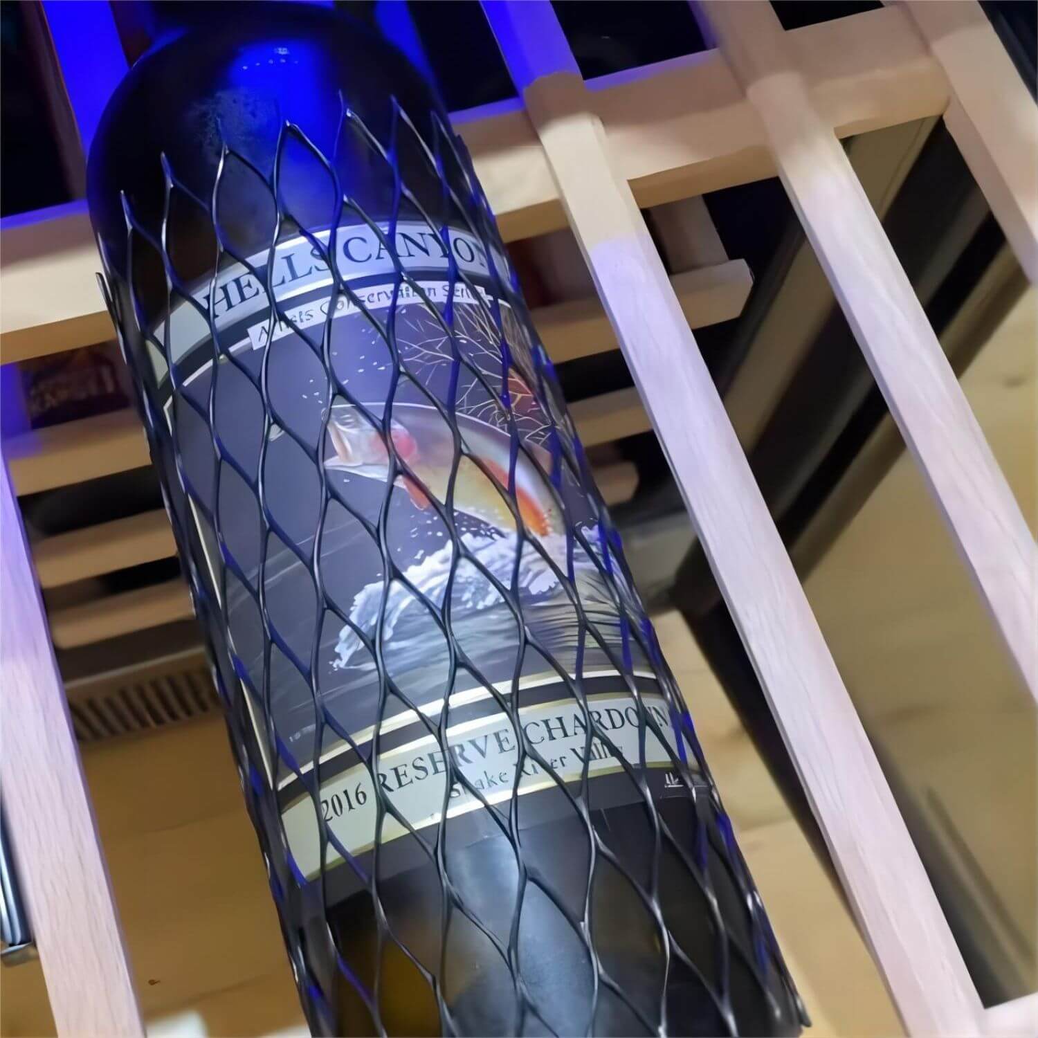 12V Portable Fridges&Wine Coolers | BODEGAcooler